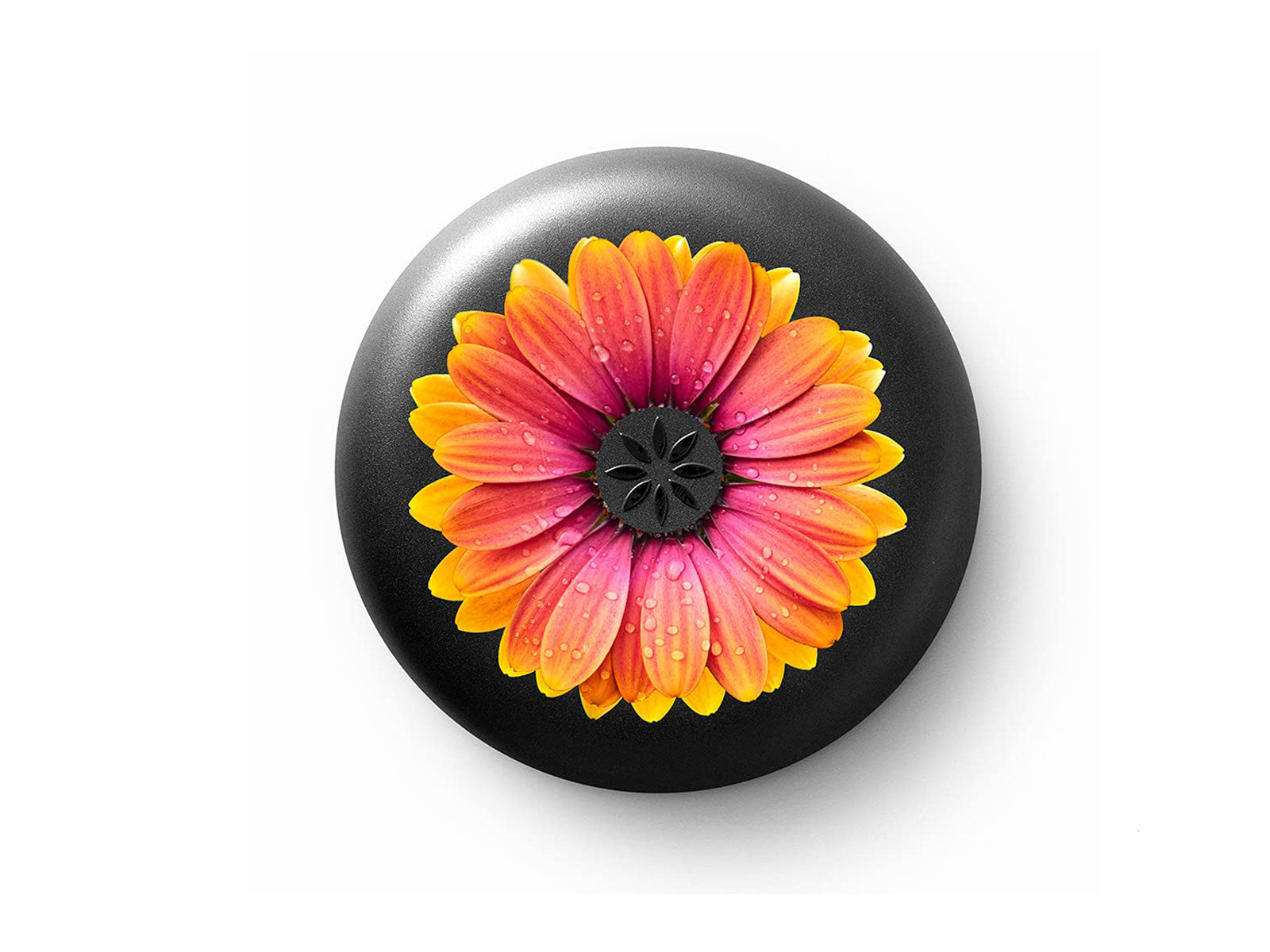 Design Cases – Invisalign USA Store